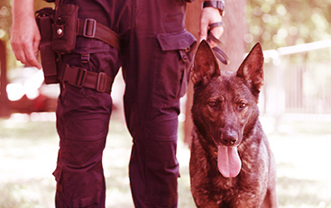 Blackstone Security Group | Private Security NJ and Philadelphia